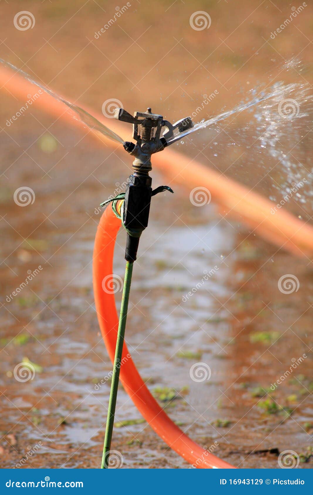Water Sprinkler Royalty-Free Stock Photo | CartoonDealer.com #61684365