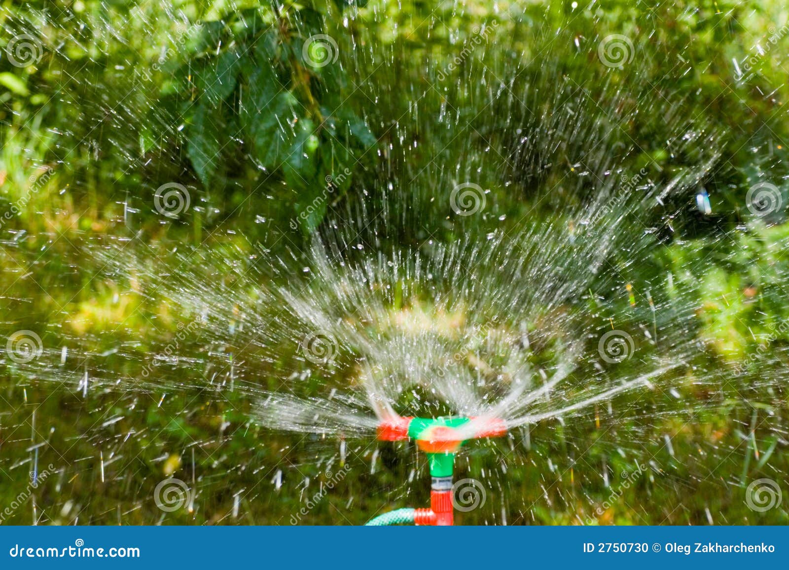 Water Sprinkler Royalty-Free Stock Photography | CartoonDealer.com #2227079