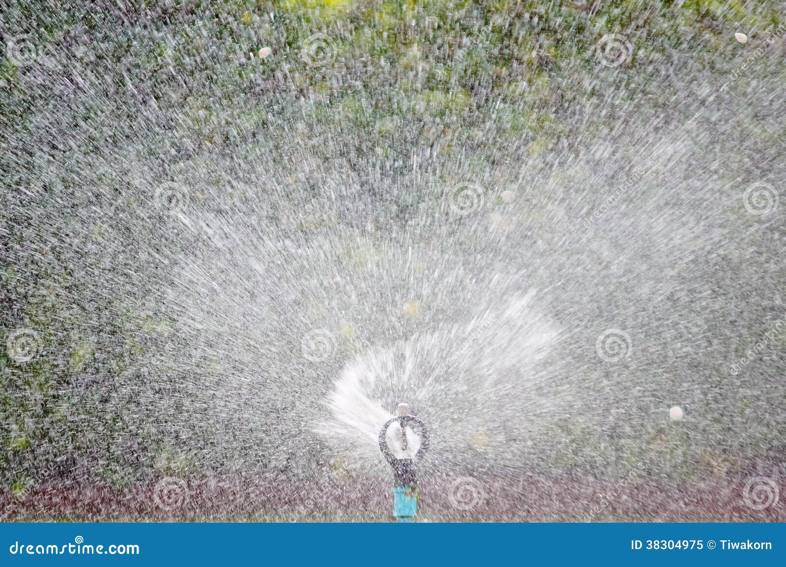 Water sprinkler stock image. Image of black, fresh, field - 38304975