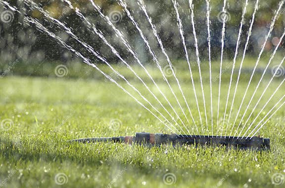 Water sprinkler 5 stock image. Image of waterdrops, spring - 563881