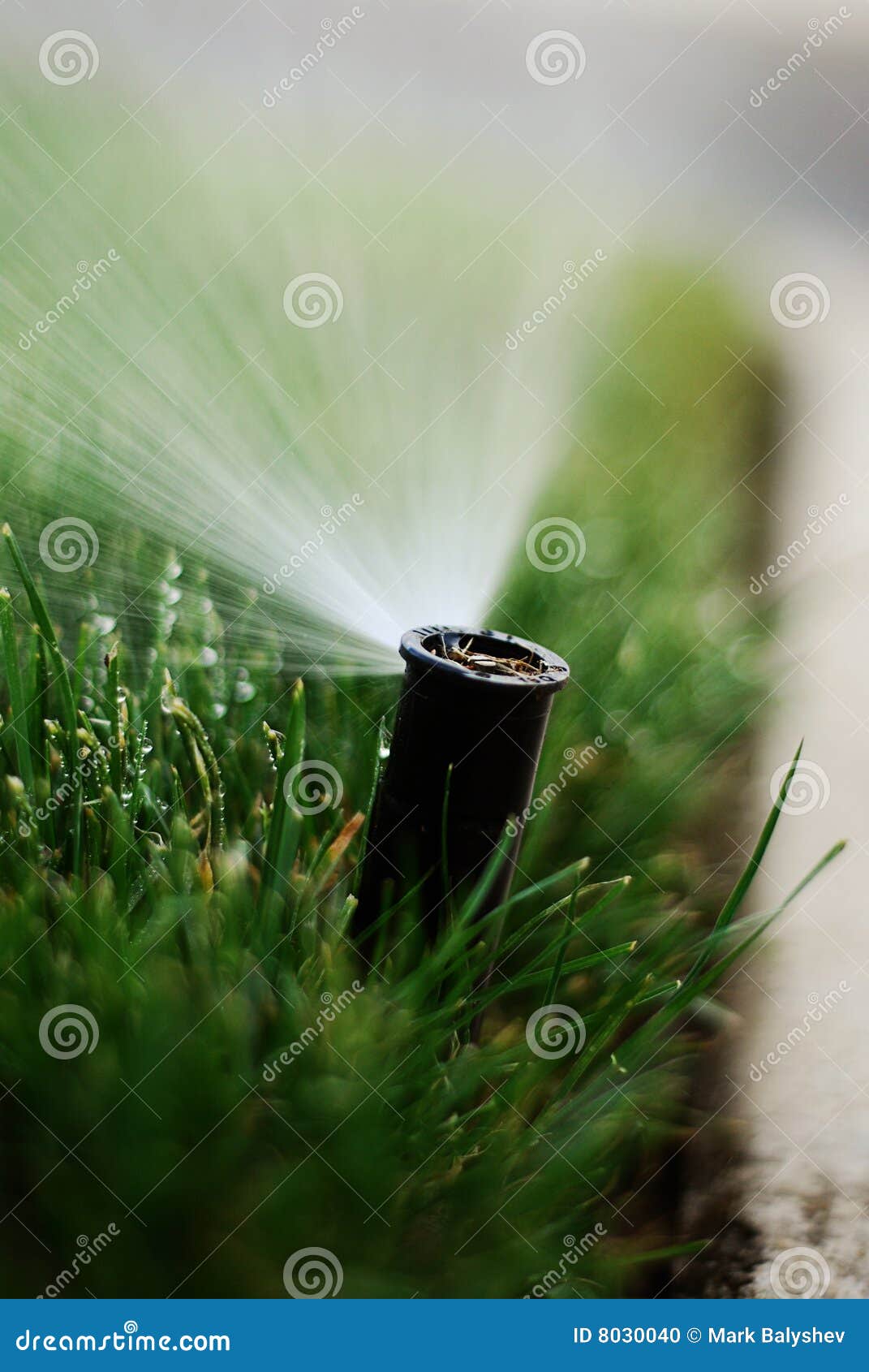 Water Sprinkler Stock Image | CartoonDealer.com #39505345