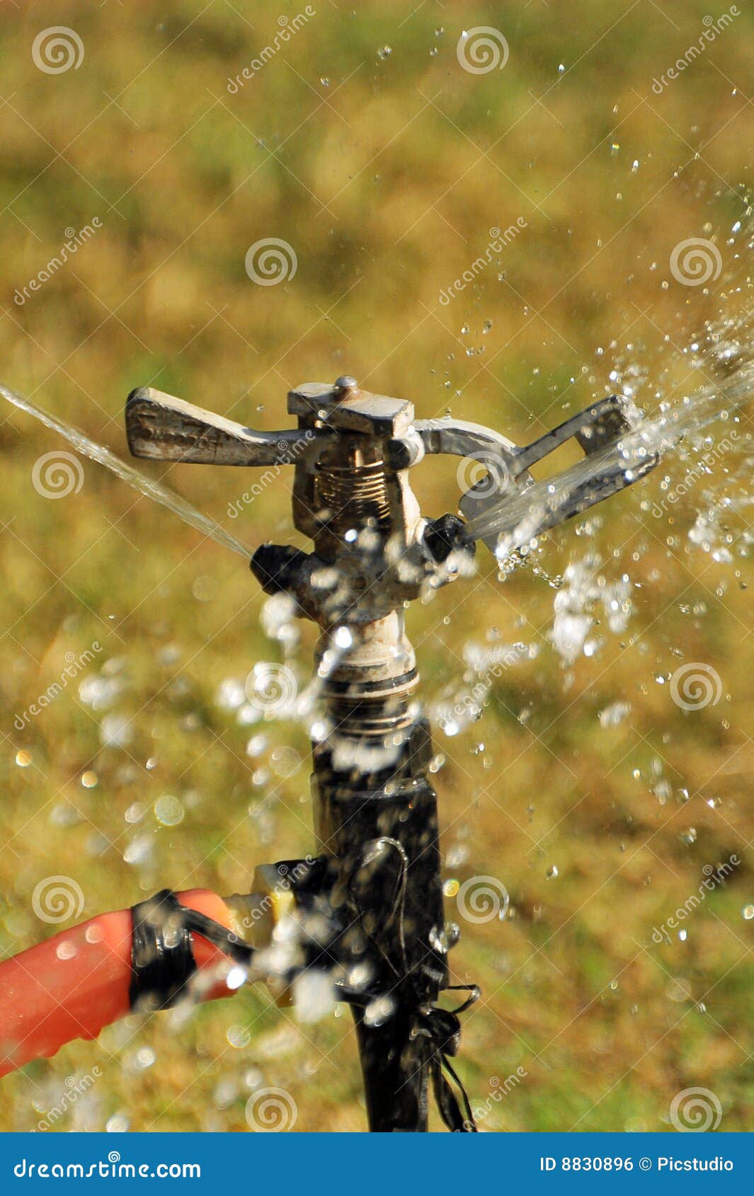 Water Sprinkler Royalty-Free Stock Photo | CartoonDealer.com #61684365