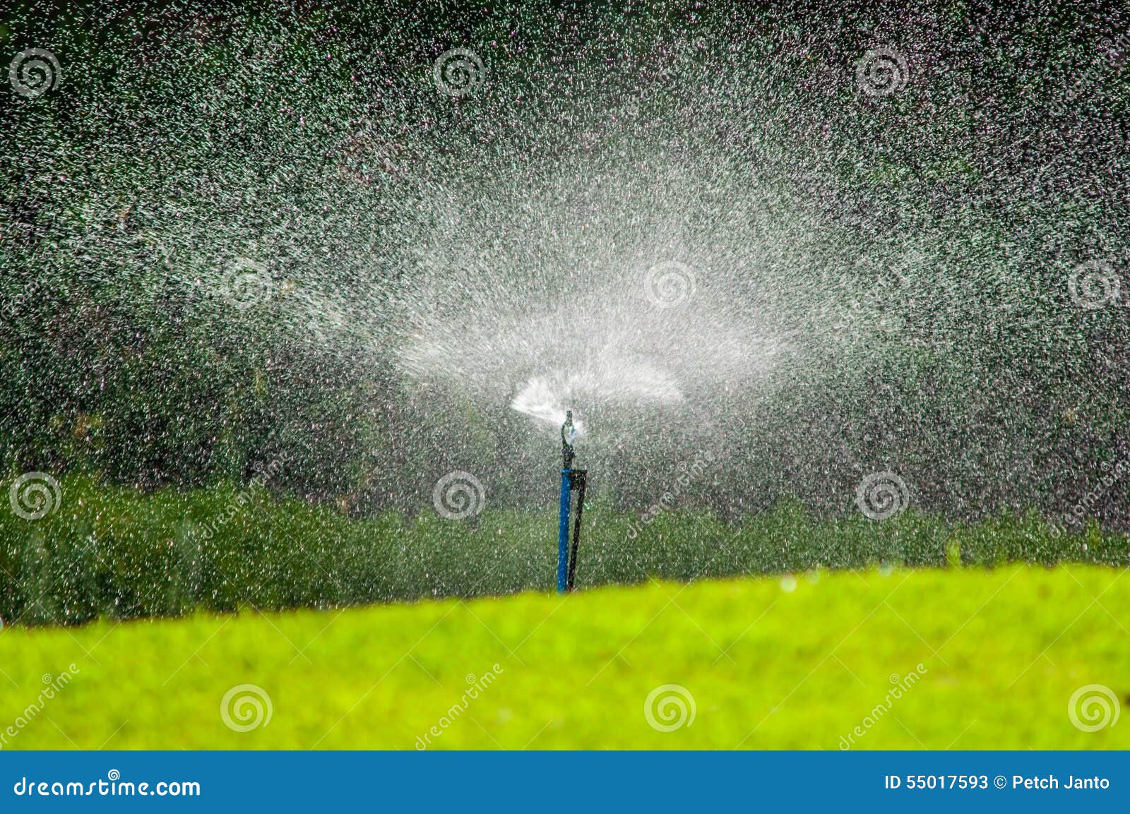 Water sprinkler in garden stock image. Image of fresh - 55017593