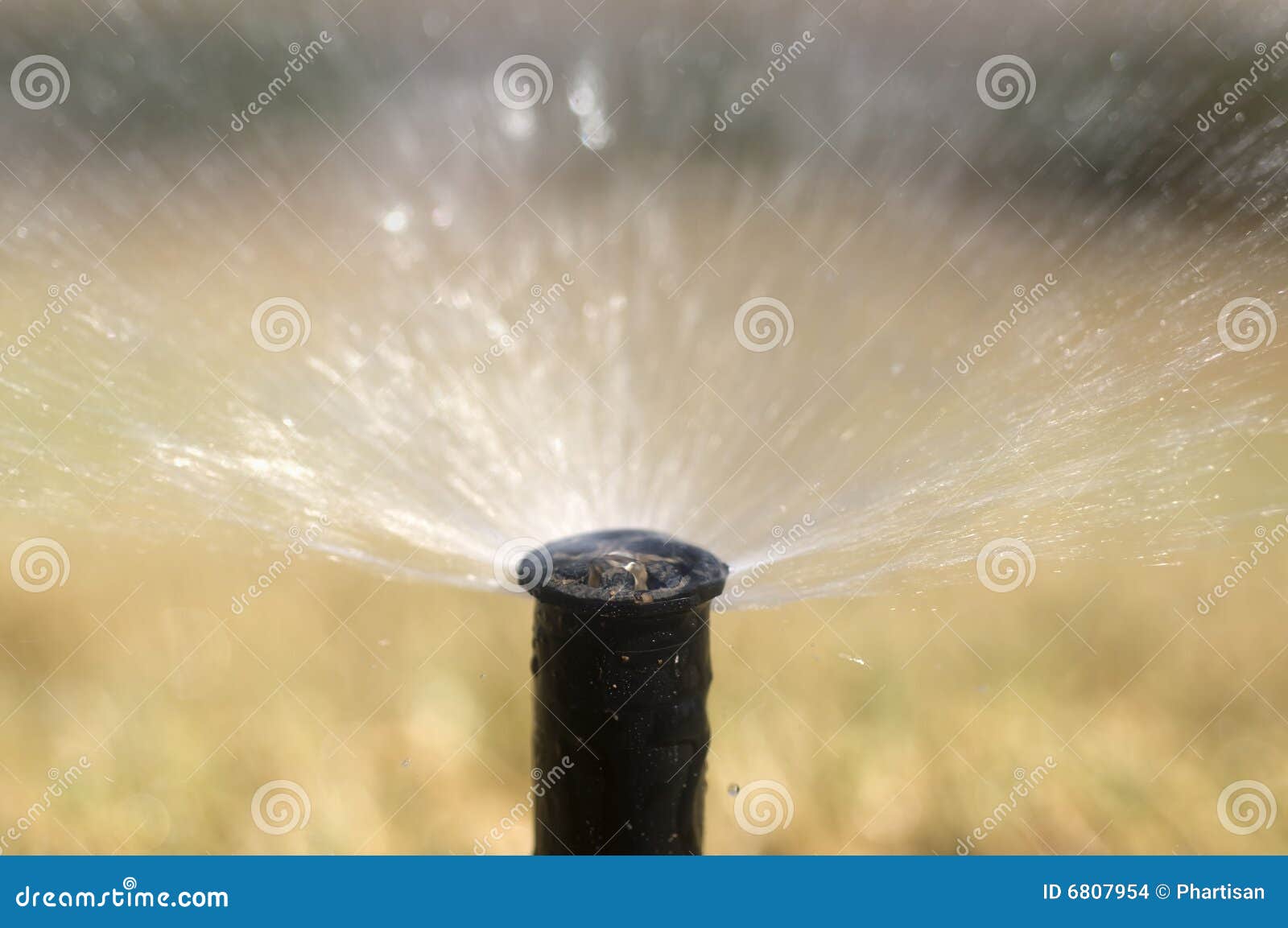 Water Sprinkler on Landscaped Lawn Stock Photo - Image of wetting ...