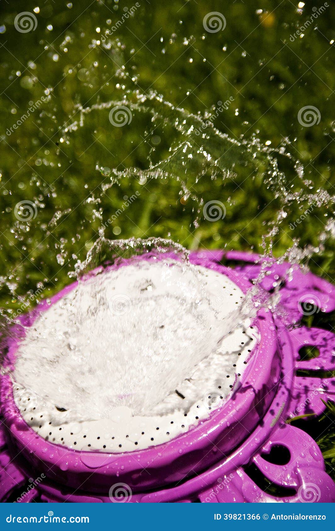 Water Sprinkler stock photo. Image of irrigation, magenta - 39821366
