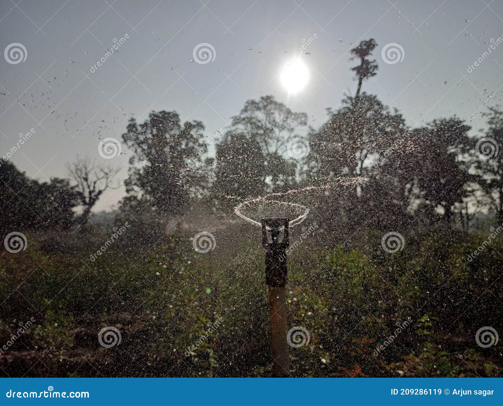 Water Sprinkler Spray S Water in Secular Movement Stock Image - Image ...