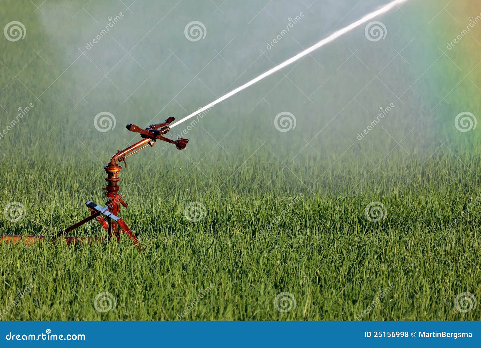 Water Sprinkler System Irrigating a Farm Field Stock Photo - Image of ...