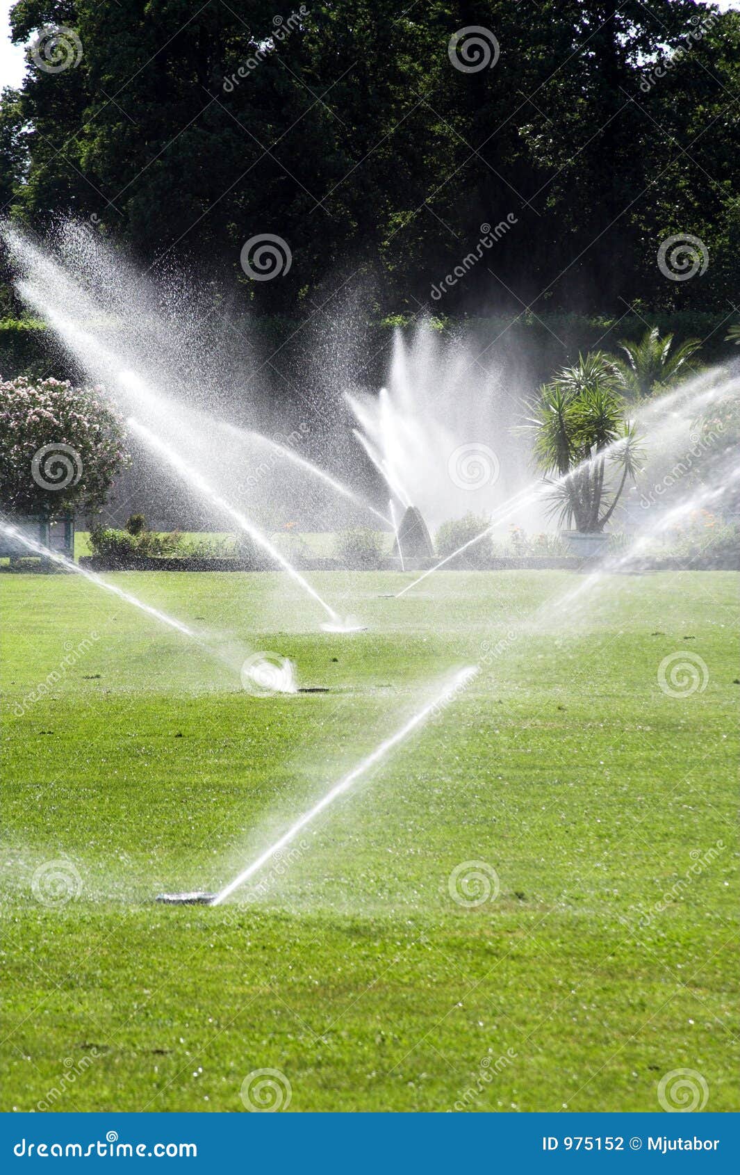 Water sprinklers stock photo. Image of park, luxurious - 975152
