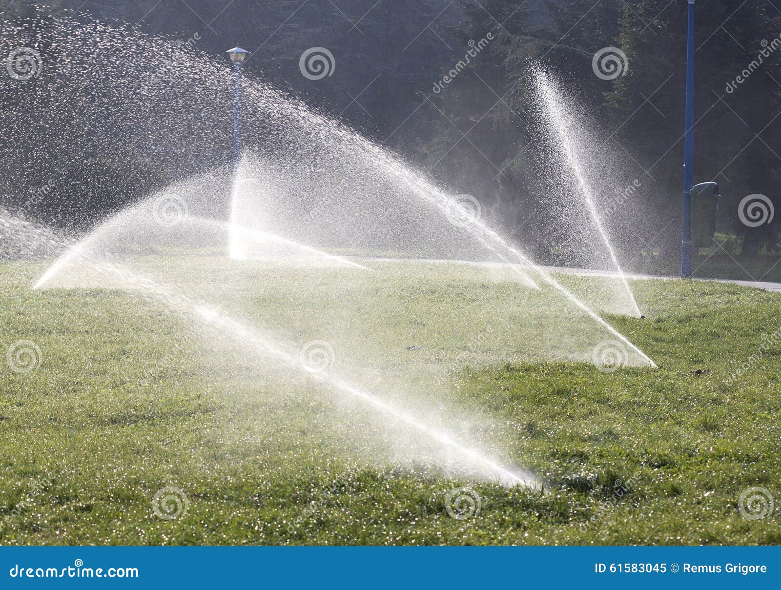 Water Sprinklers - RAW Format Stock Image - Image of natural, meadow ...