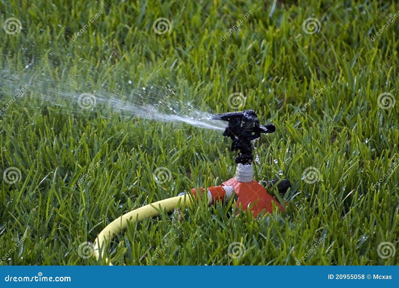 Water-sproeier stock foto. Image of sproeier, groei, gazon - 20955058