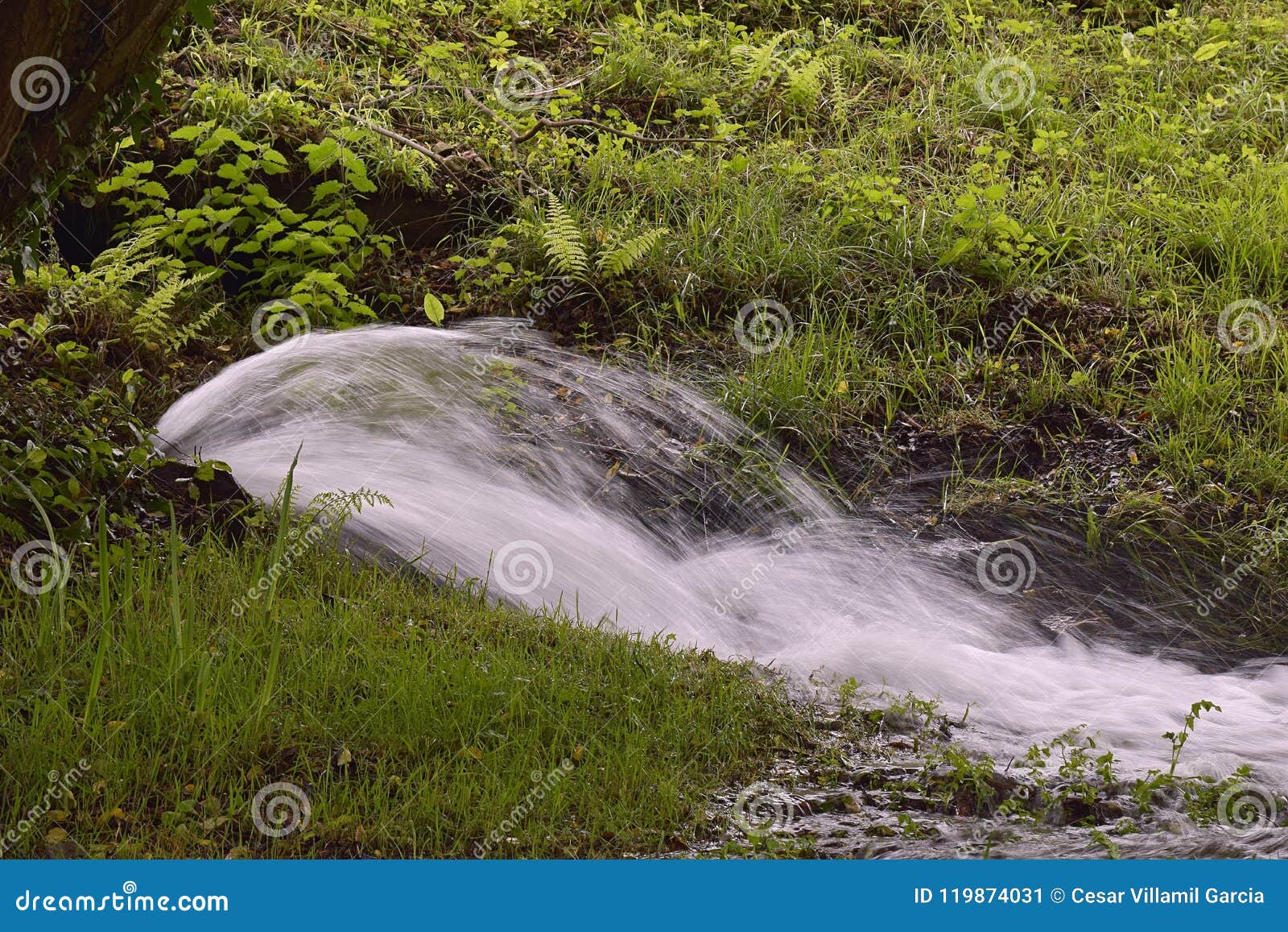 Water Sprouting from the Earth Stock Image - Image of world, small ...