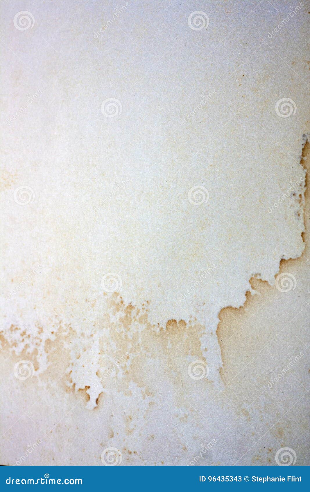 Water Stained Paper Texture