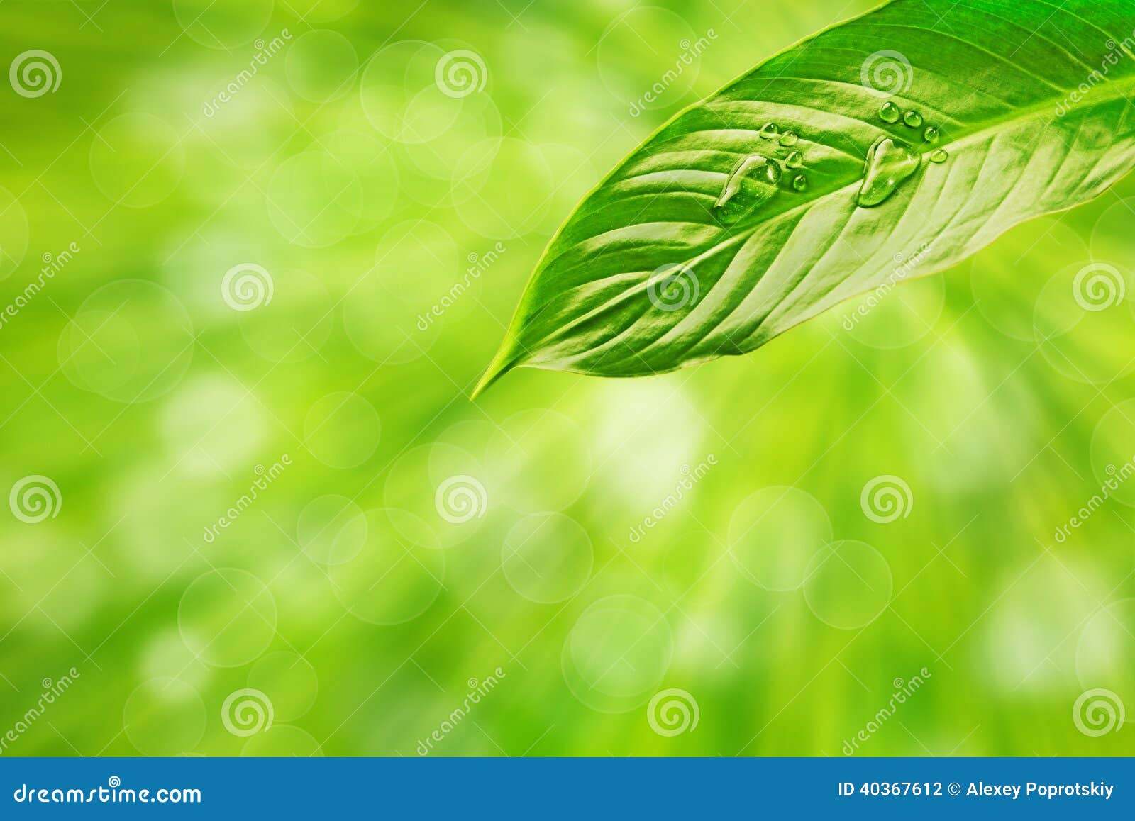 Water Steps Royalty-Free Stock Image | CartoonDealer.com #247492