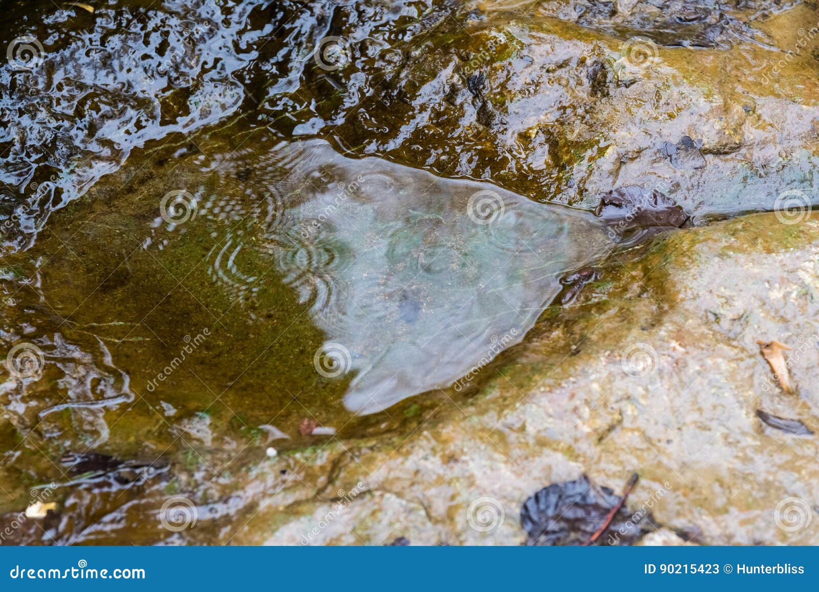 Water on Stone Small Puddle River Wet Cold Ripples Textures Relaxing ...