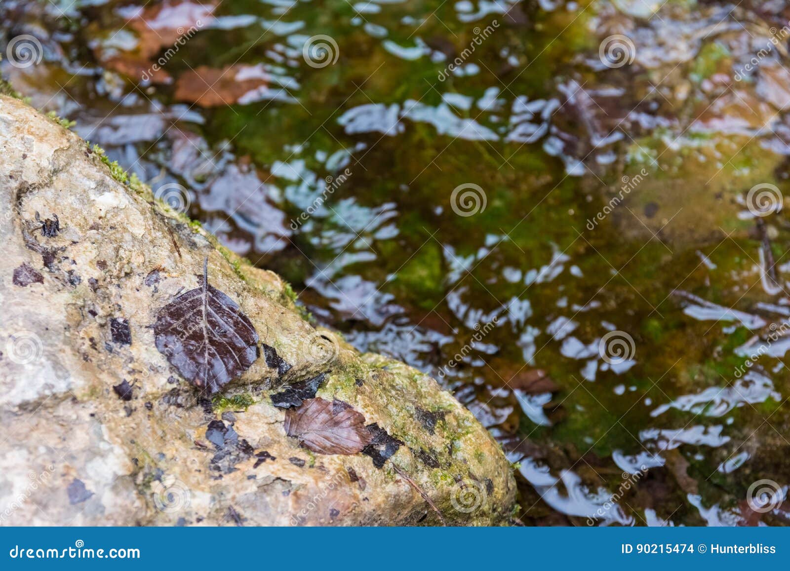 Water on Stone Small Puddle River Wet Cold Ripples Textures Relaxing ...