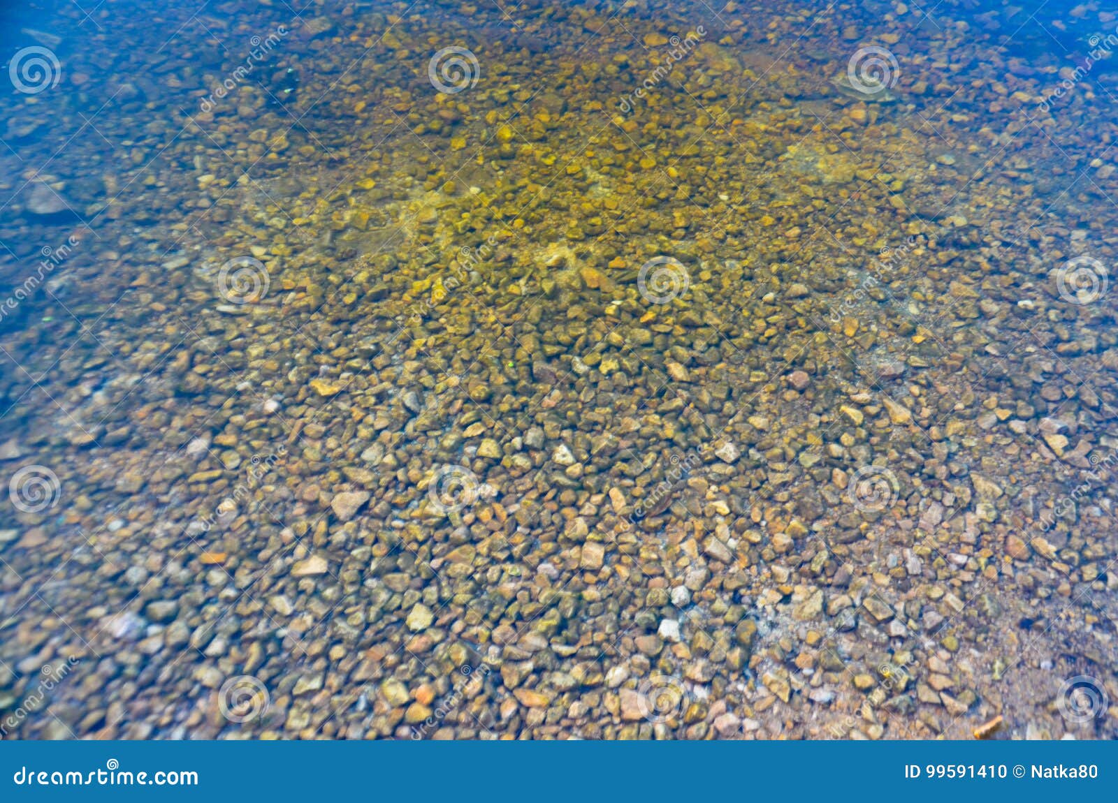 Water Stones the Bottom of the River Stock Photo - Image of natural ...