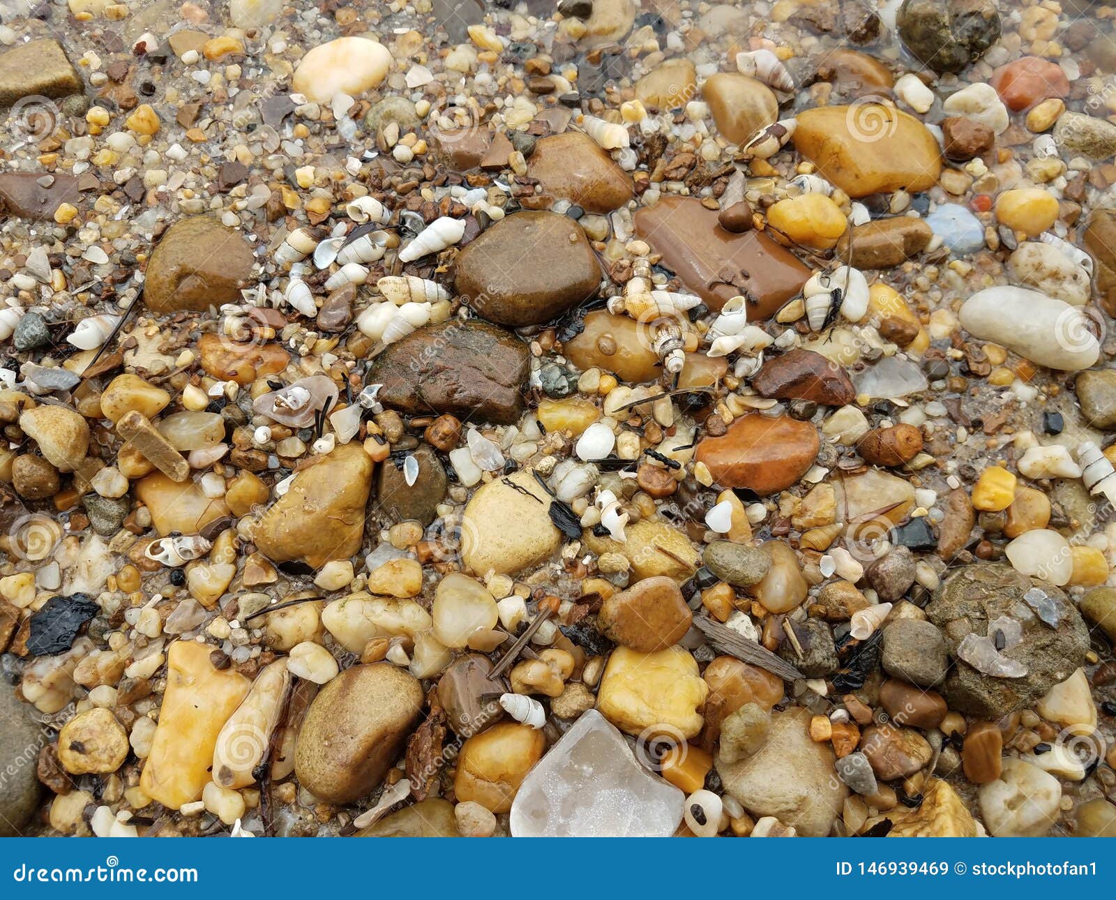 Water and Stones or Pebbles and Shells at the Beach Stock Image - Image ...