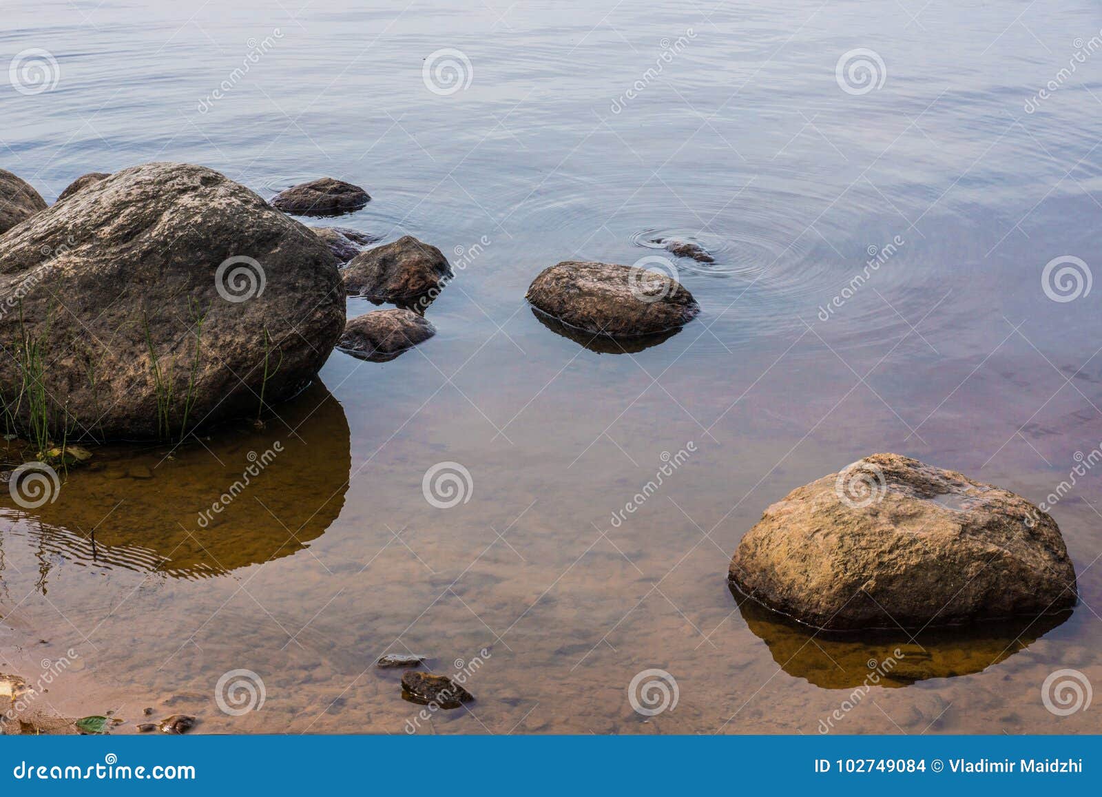 The shore of the lake stock photo. Image of countryside - 102749084