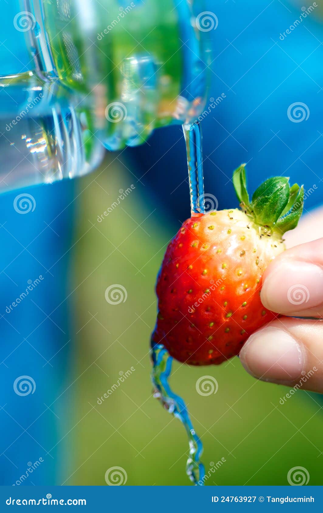 Water and Strawberry stock image. Image of organic, bottle - 24763927