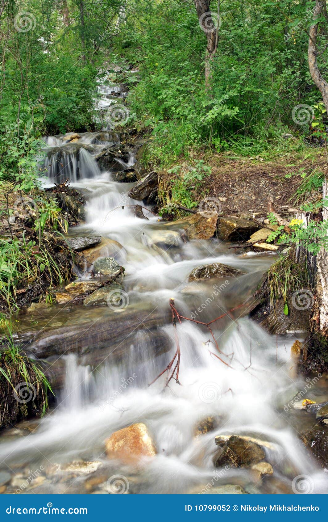 Water stream stock photo. Image of cool, fluid, fall - 10799052
