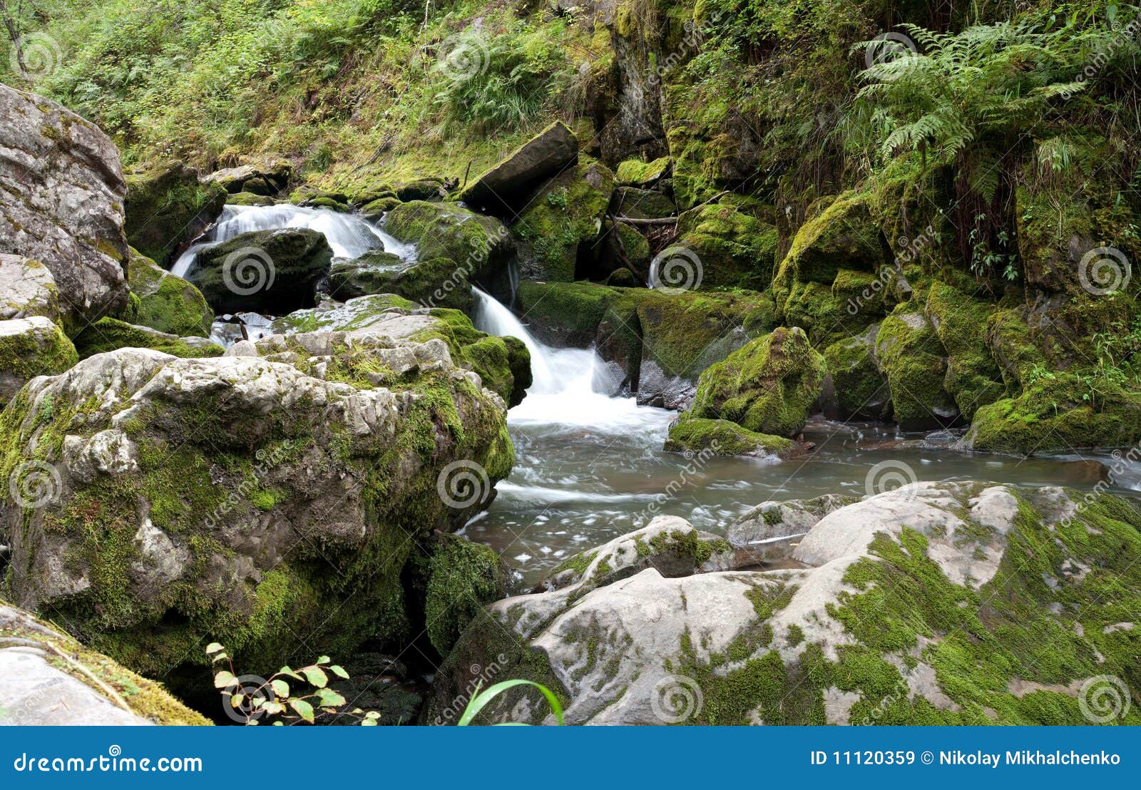 Water stream stock image. Image of relaxation, flow, forest - 11120359