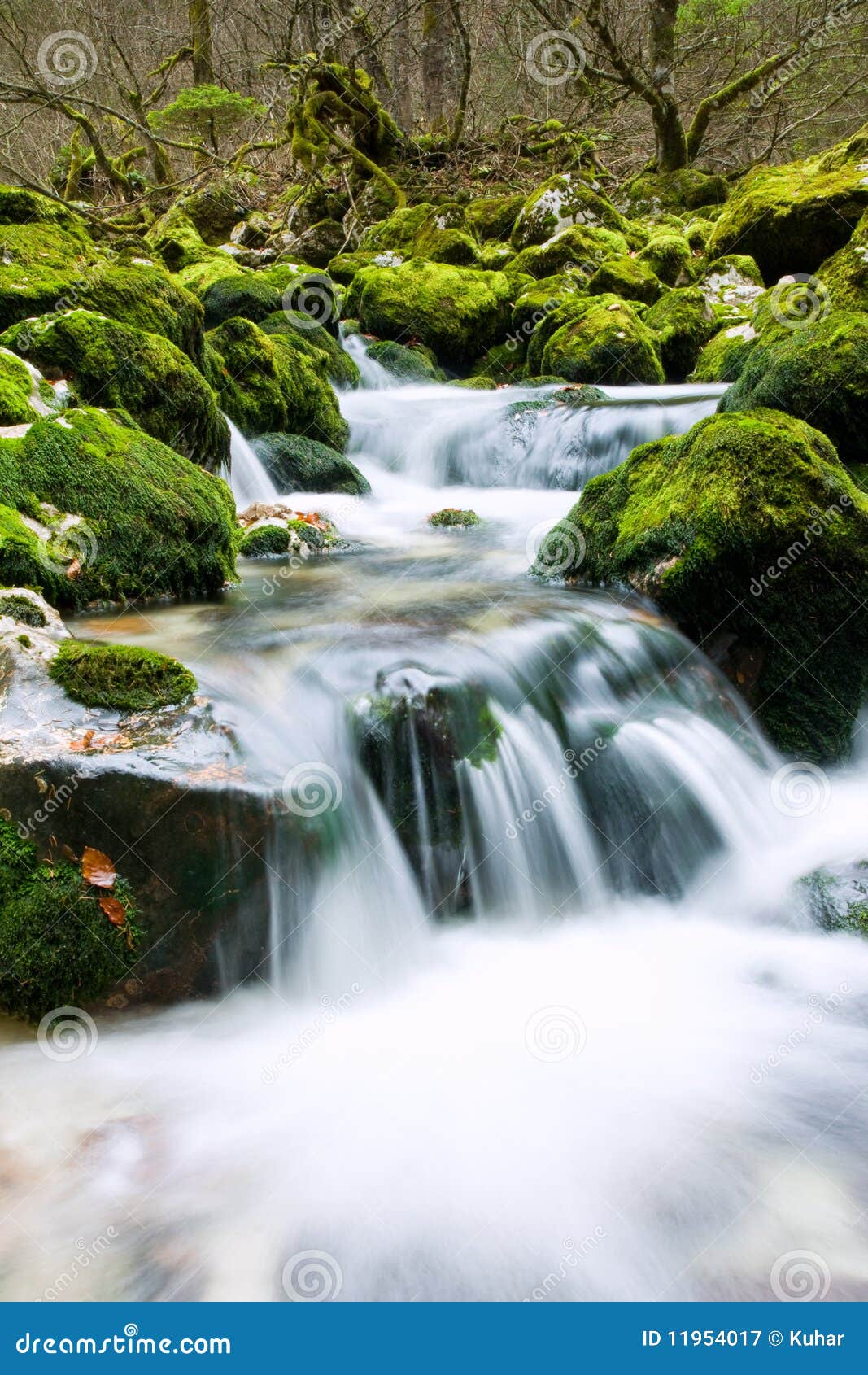 Water Stream stock image. Image of stream, rock, woods - 11954017