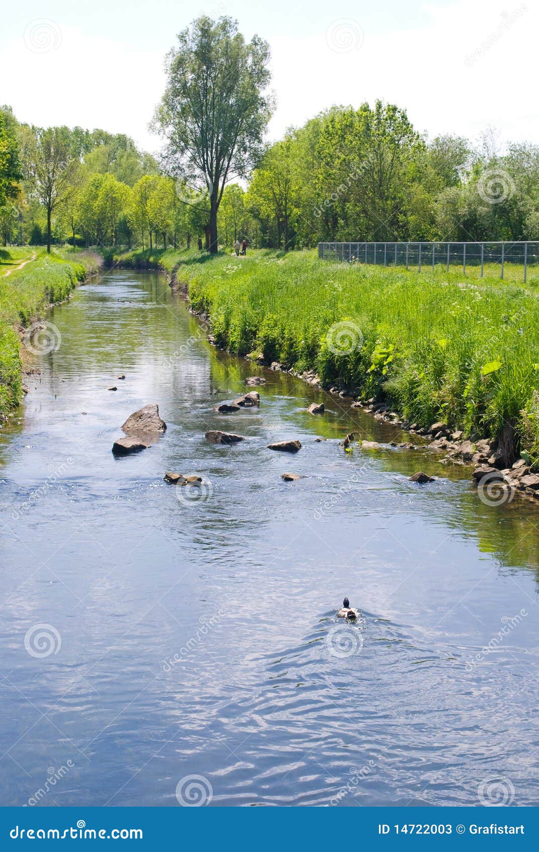 Water stream stock image. Image of freedom, rural, scene - 14722003