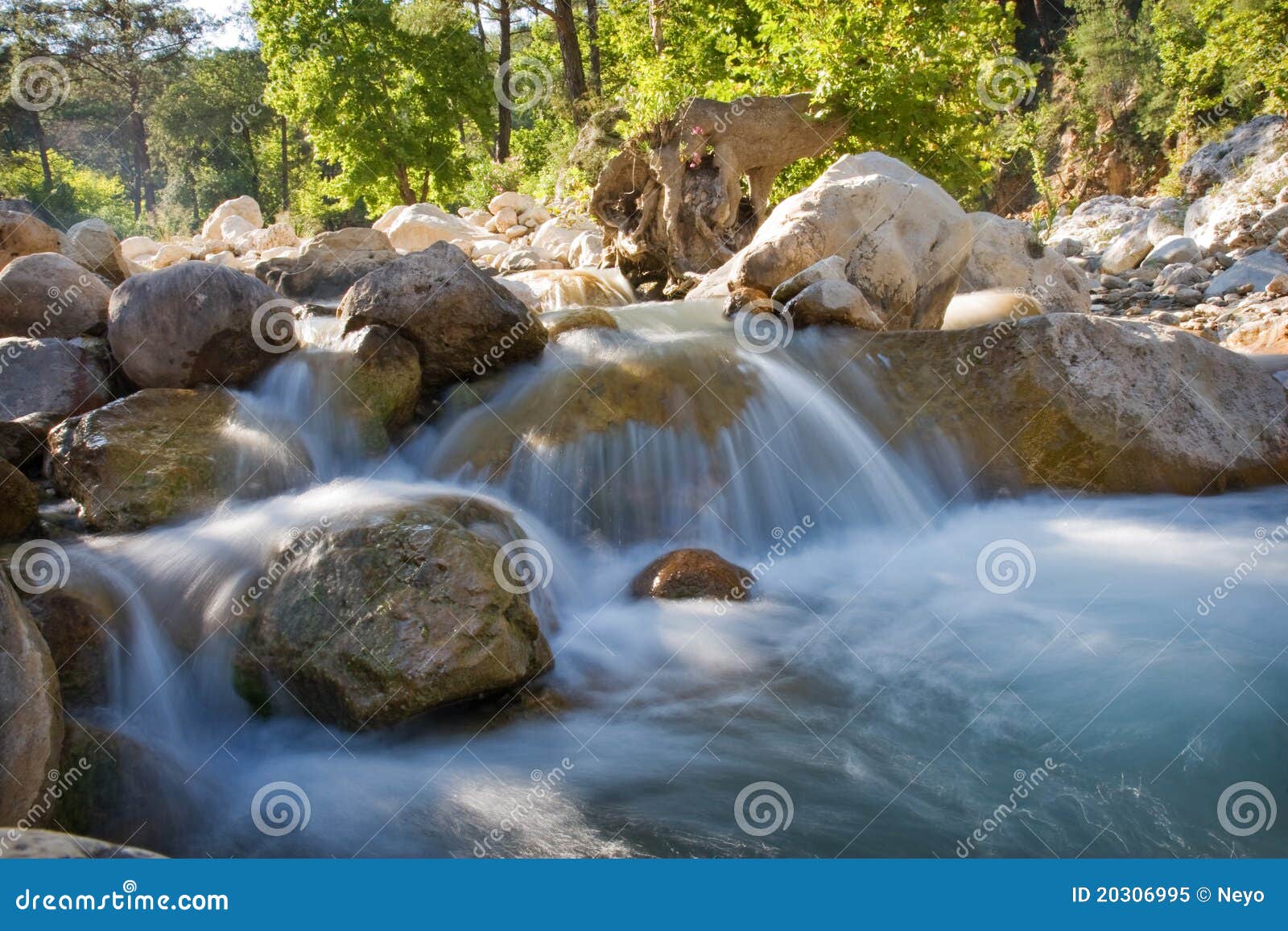 Water stream stock image. Image of water, outdoors, green - 20306995