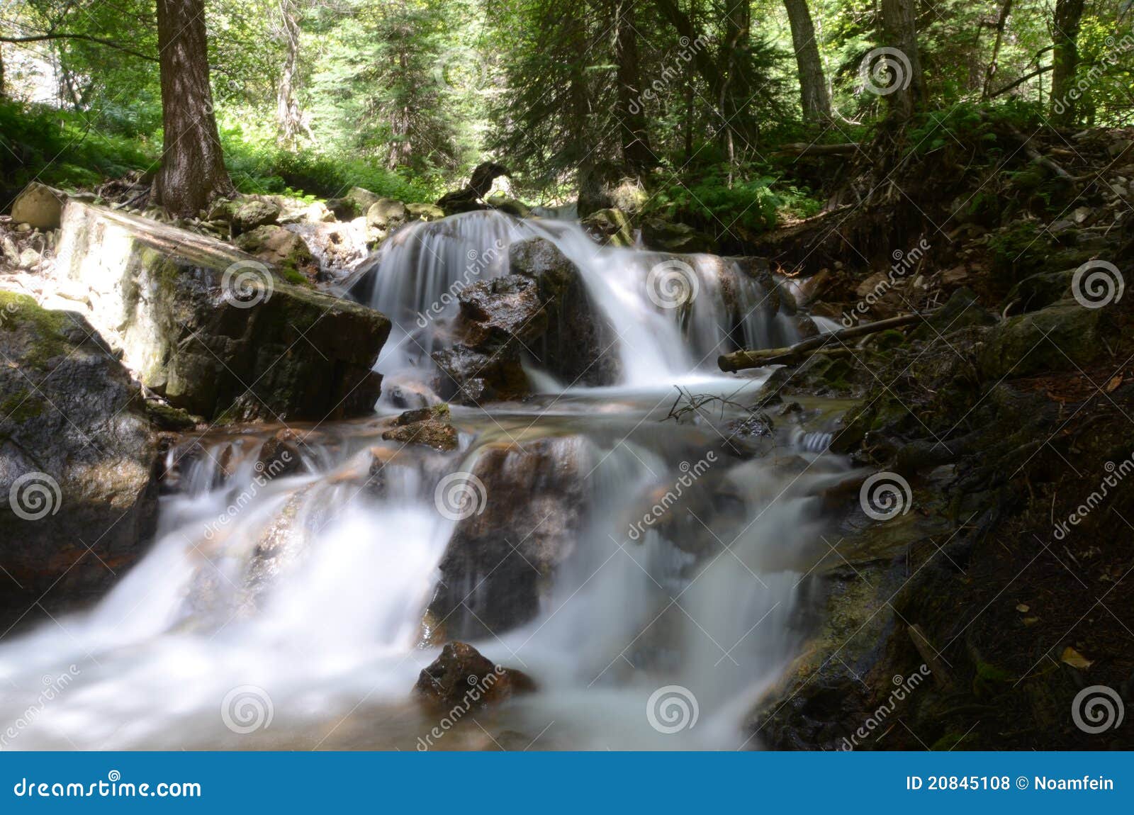 Water stream stock photo. Image of gill, stream, fall - 20845108