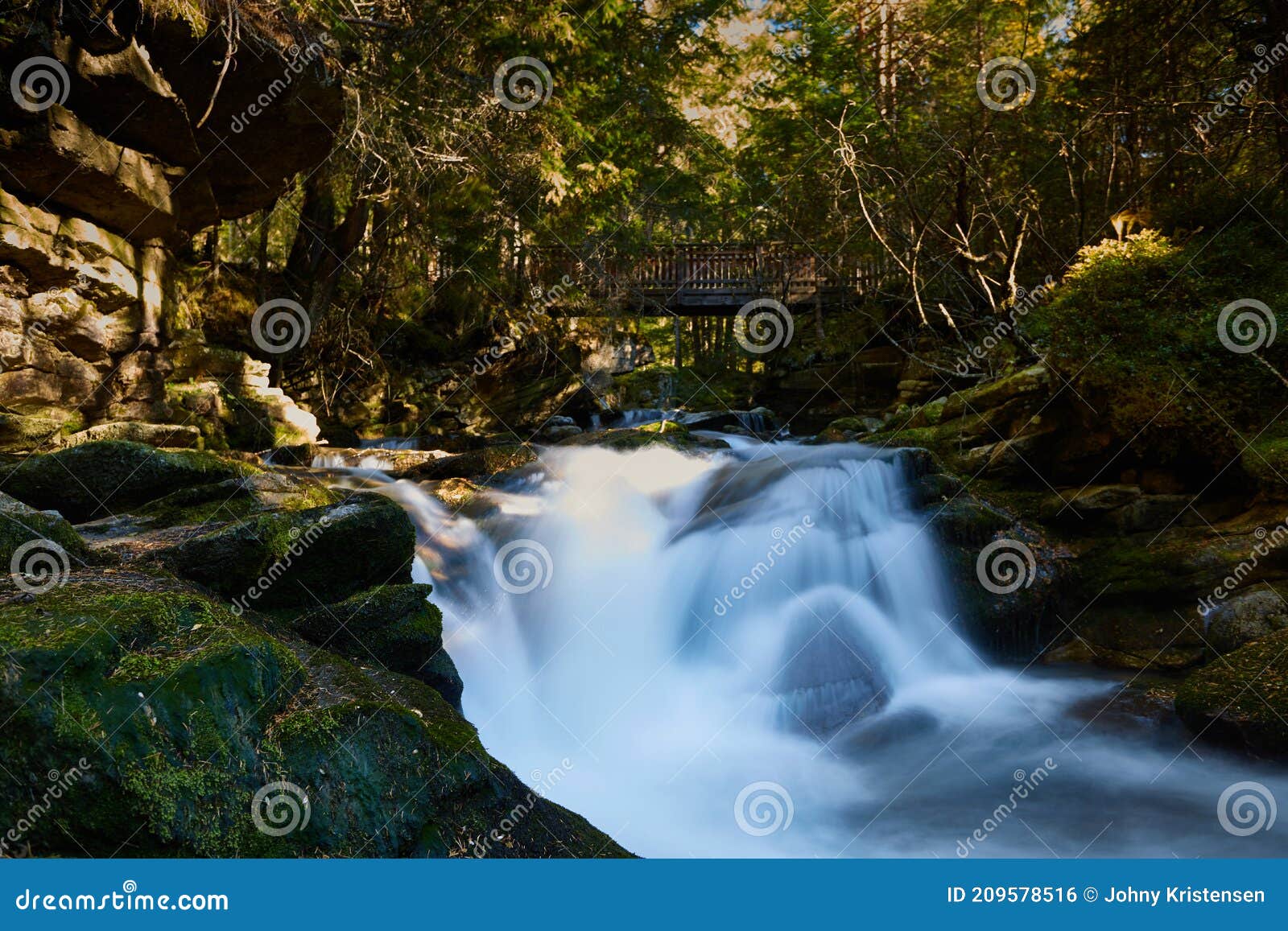 Water Stream in a Beautiful Forest Stock Photo - Image of mount ...