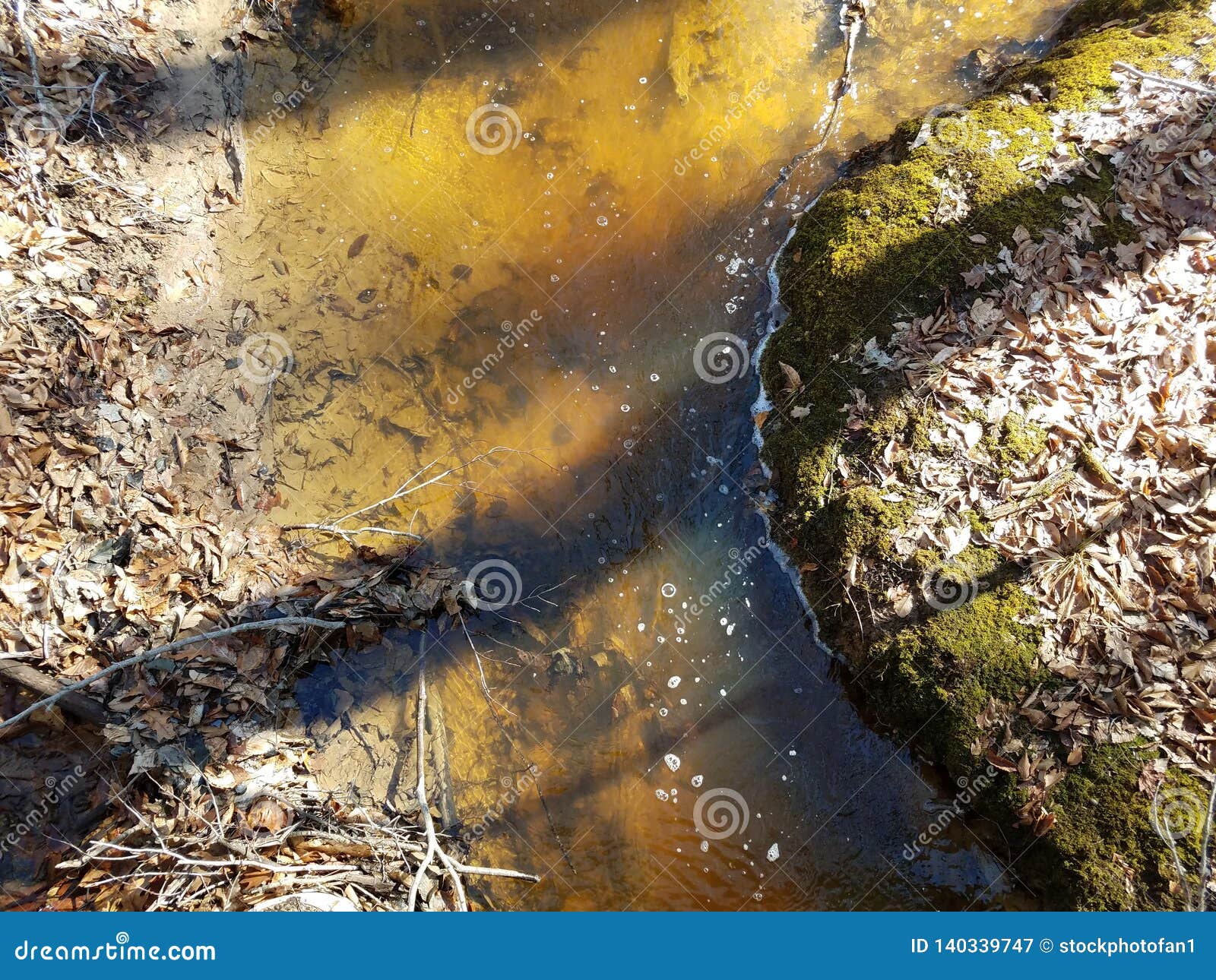 Water or Stream with Bubbles and Moss and Mud Stock Image - Image of ...