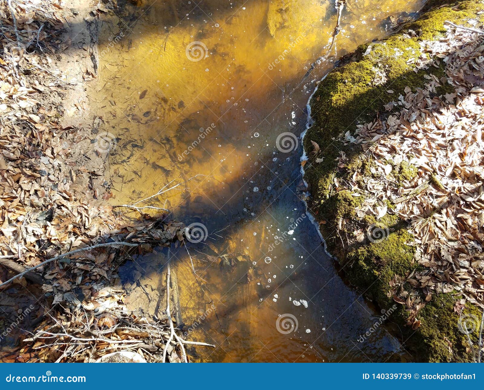 Water or Stream with Bubbles and Moss and Mud Stock Image - Image of ...
