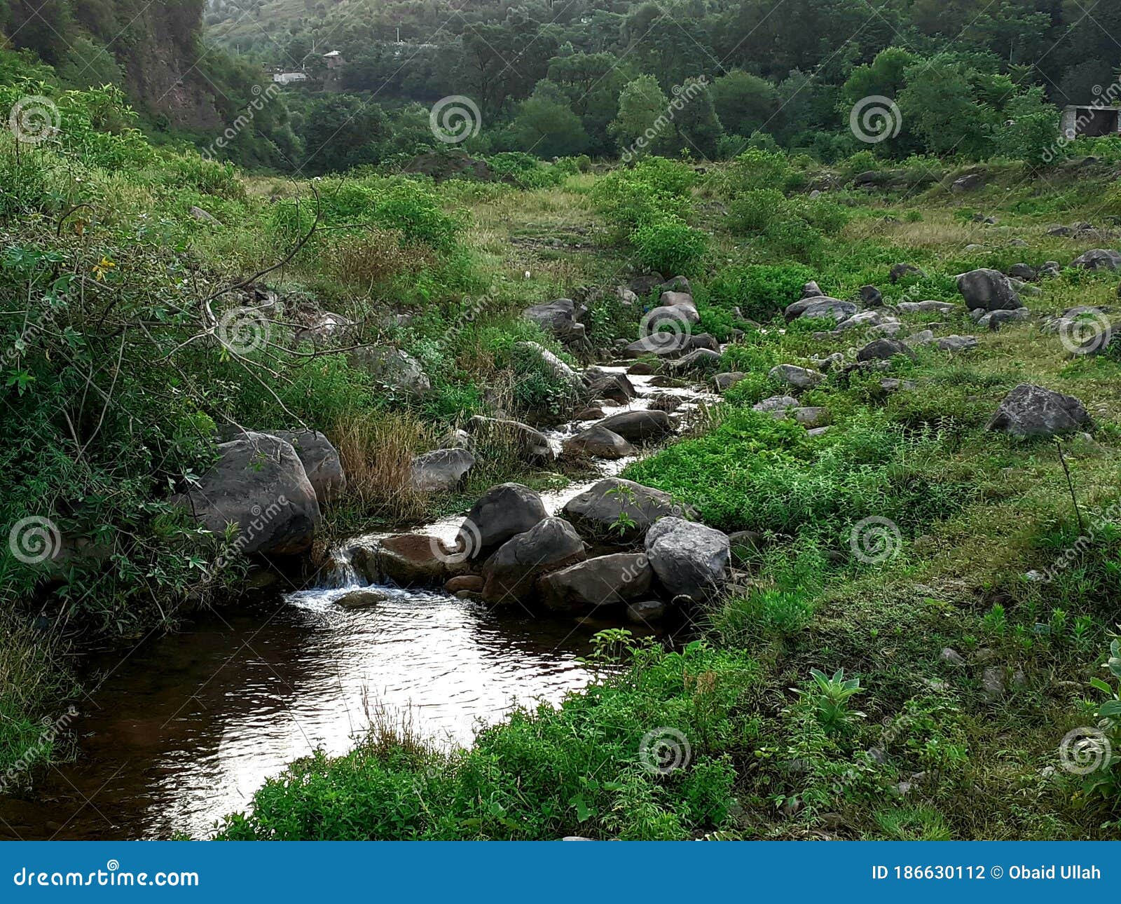 Water in a Stream Coming from Miles Away Stock Photo - Image of coming ...