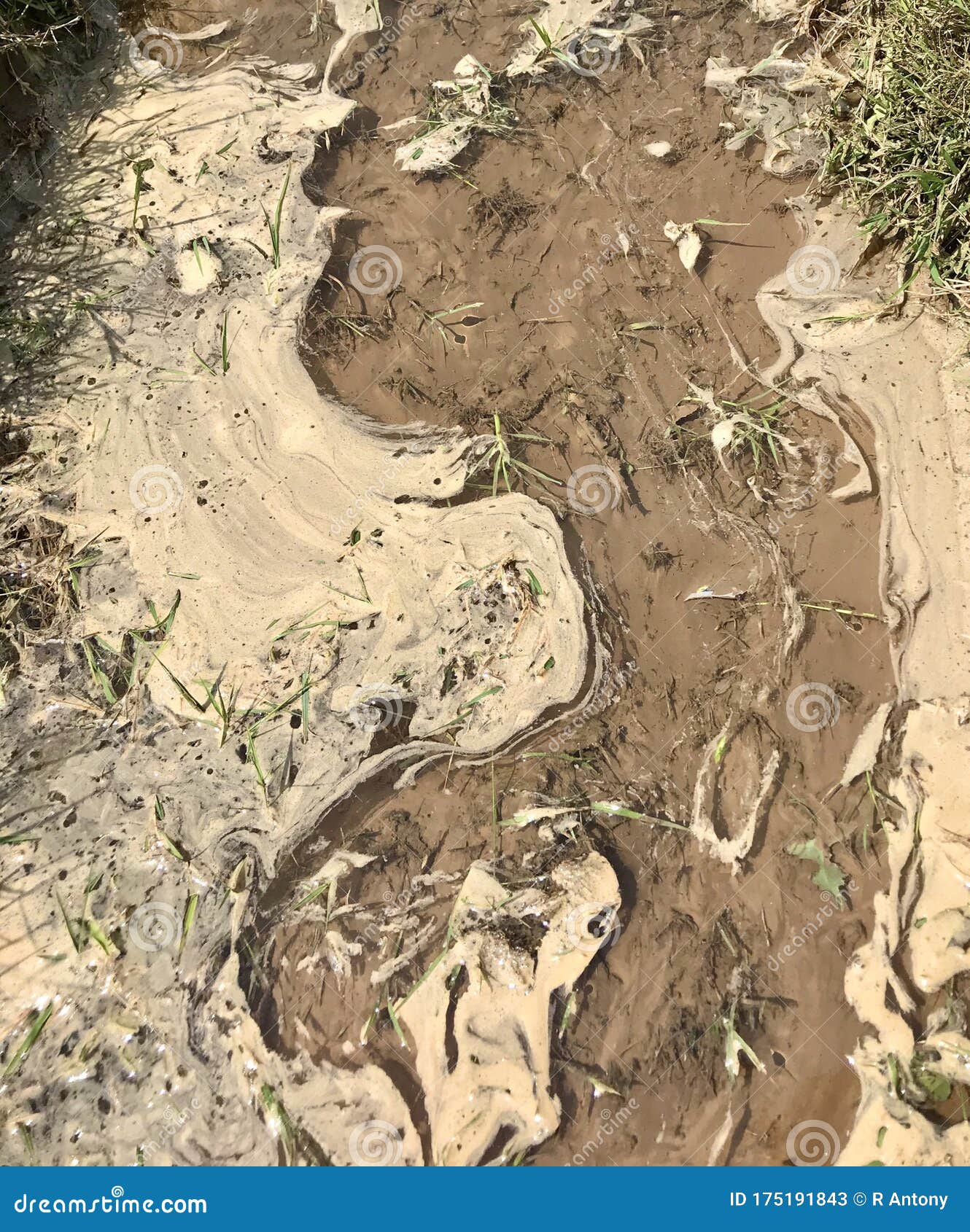 A Water Stream and Drawing on the Water Surface Stock Image - Image of ...