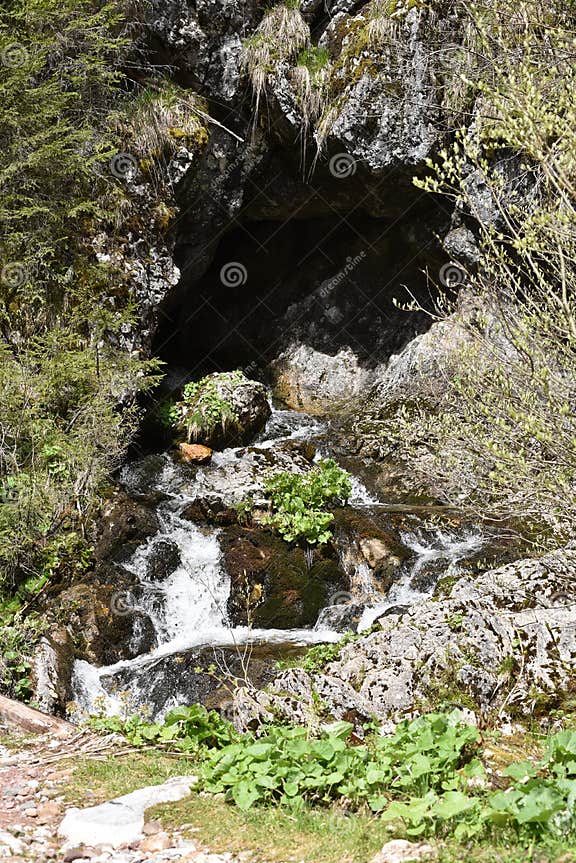 Water Stream Emerging from a Cave Stock Image - Image of green, hole ...