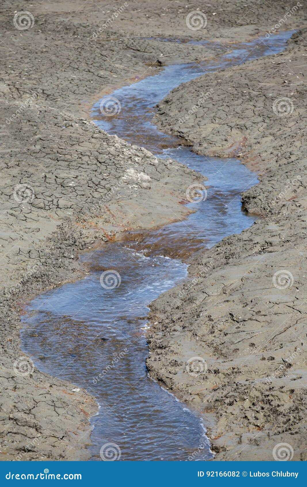 Water Stream Flowing through a Dry Pond. Stock Photo - Image of cracked ...