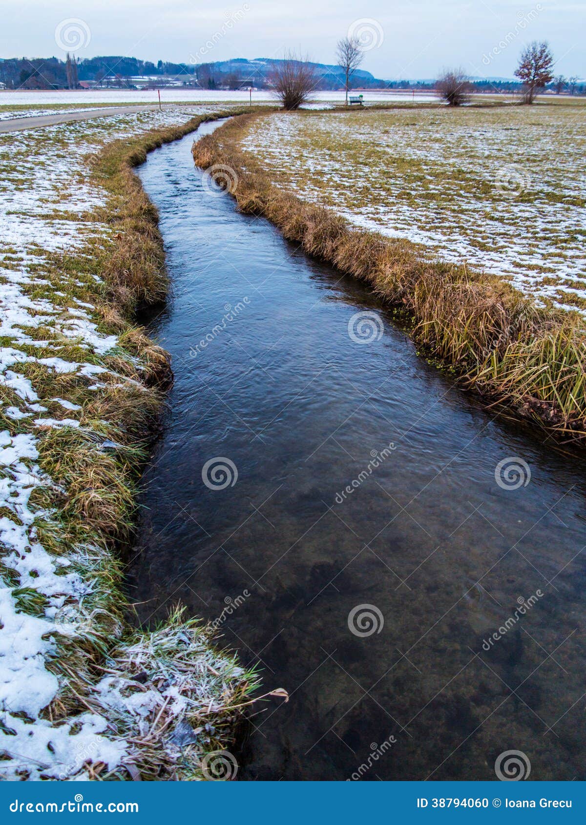 Water Stream Flowing in a Field Stock Photo - Image of river, grass ...