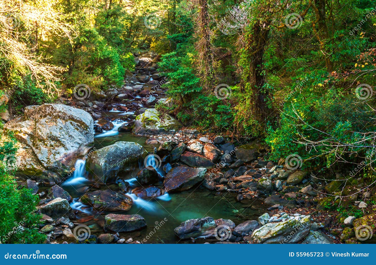 Water stream stock image. Image of monsoon, foliage, background - 55965723