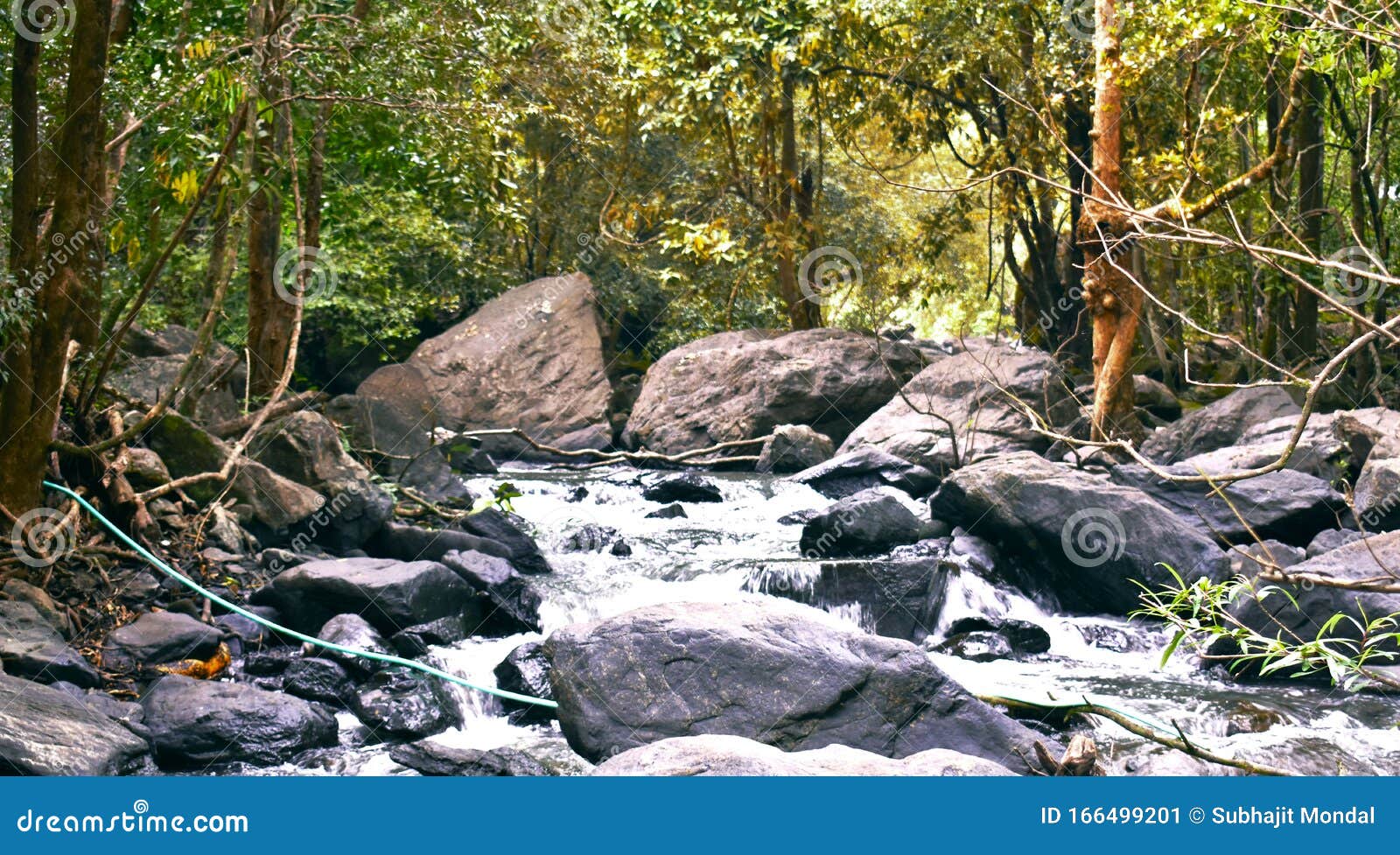 Water Stream Flowing from the Middle of a Deep Forest in Goa Stock ...