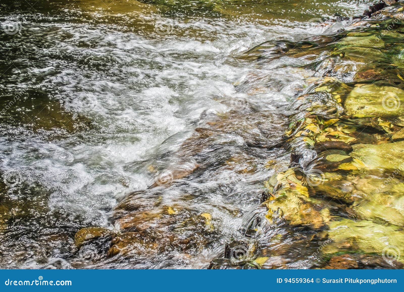 Water Stream Flowing Past Rock and Stones in the River. Stock Photo ...
