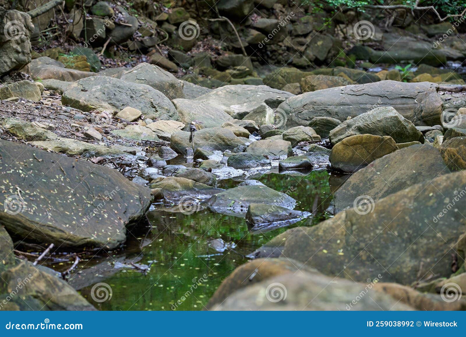 Water Stream Flowing between Rocks in the Forest Stock Photo - Image of ...