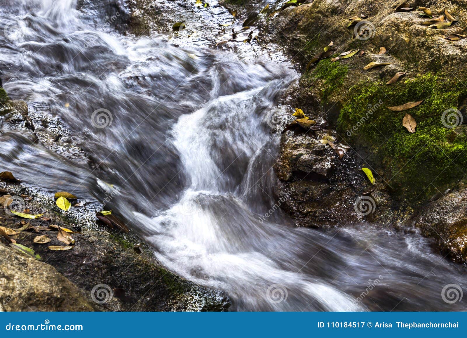 Water Stream Flowing Running Over Rocks and Moss into a Brook of Stock ...