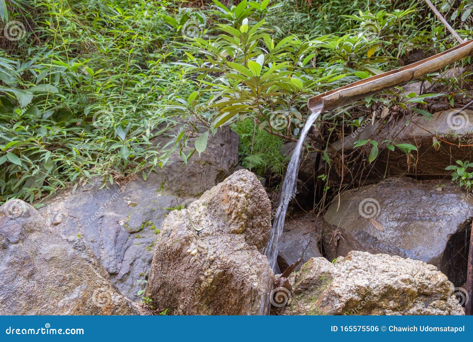 The Water Stream that Flows from the Bamboo Trough Stock Photo - Image ...
