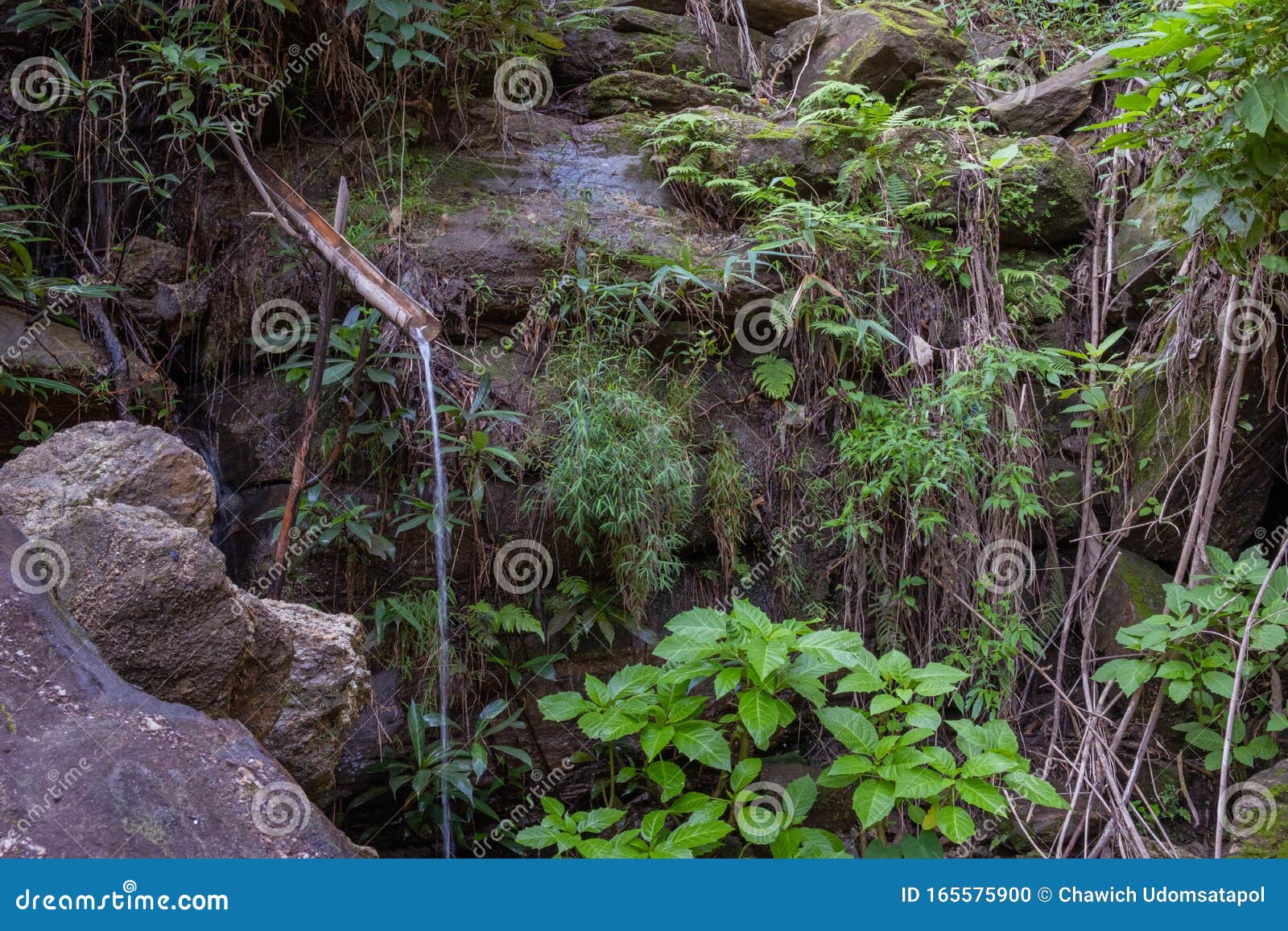 The Water Stream that Flows from the Bamboo Trough Stock Photo - Image ...