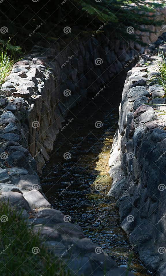 The Water of the Stream Flows between the Tree Branches Stock Image ...