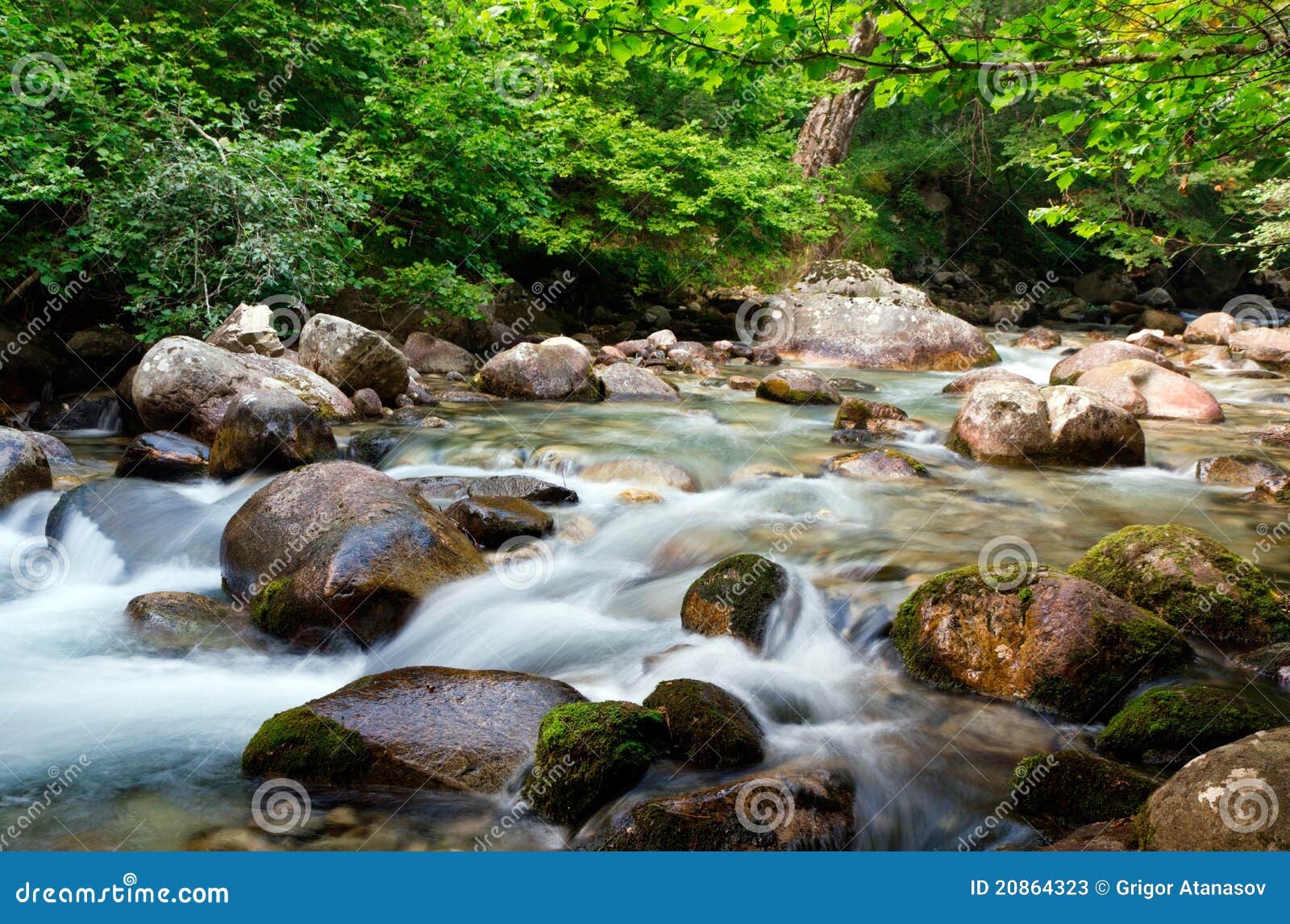 Water stream in forest stock image. Image of flowing - 20864323