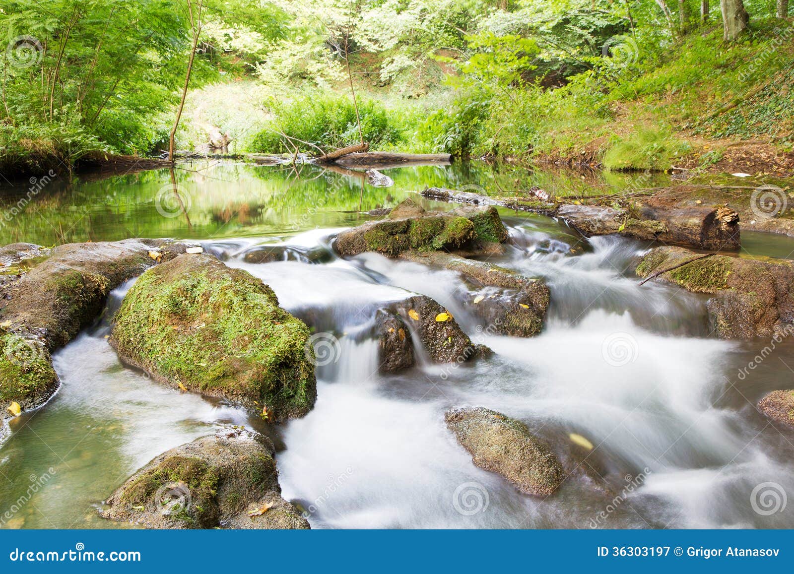 Water stream in forest stock image. Image of rocks, motion - 36303197