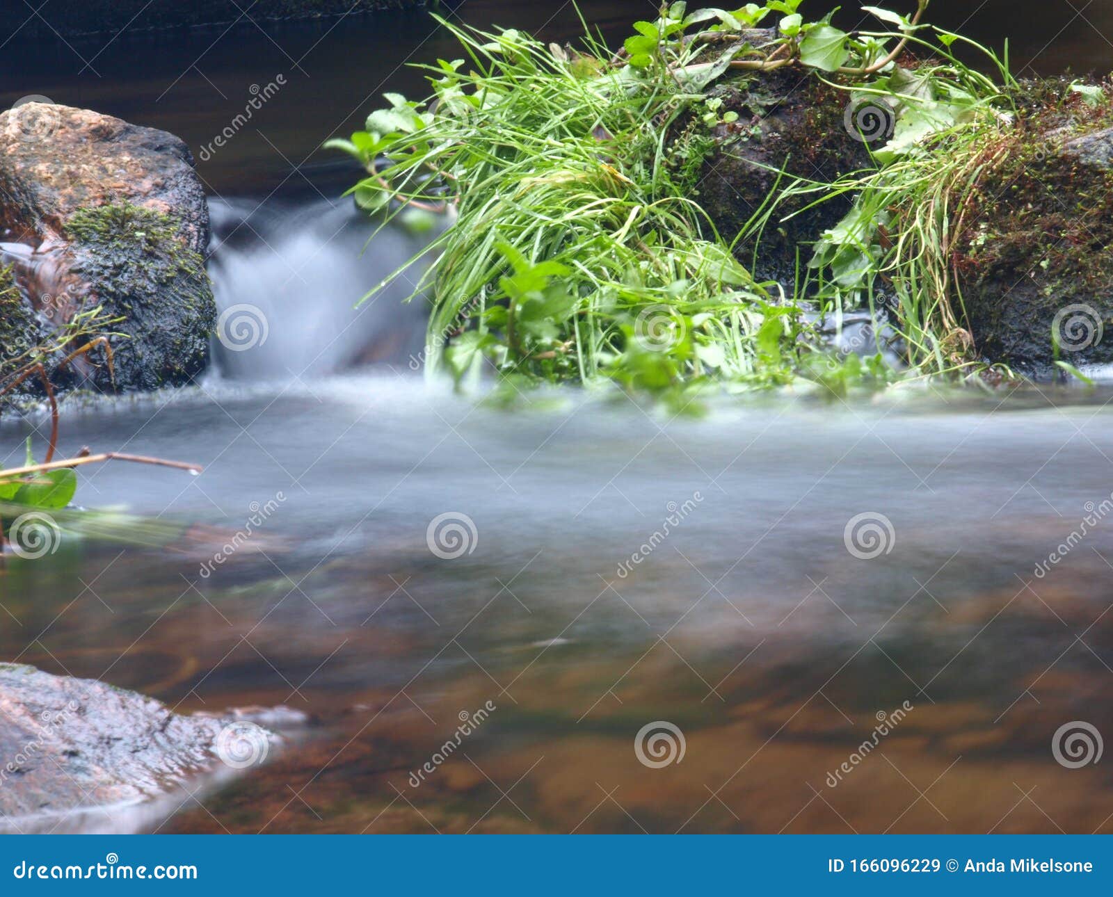 Water Stream in Forest River, Long Exposure Stock Image - Image of ...