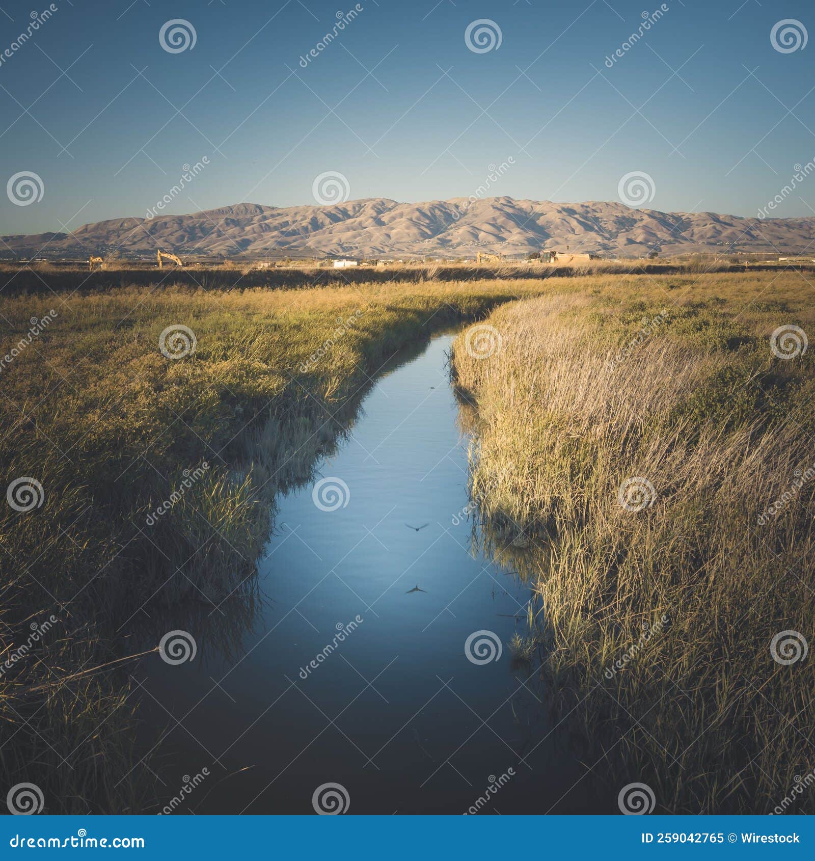 Water Stream between Green Grass in a Meadow Stock Image - Image of ...