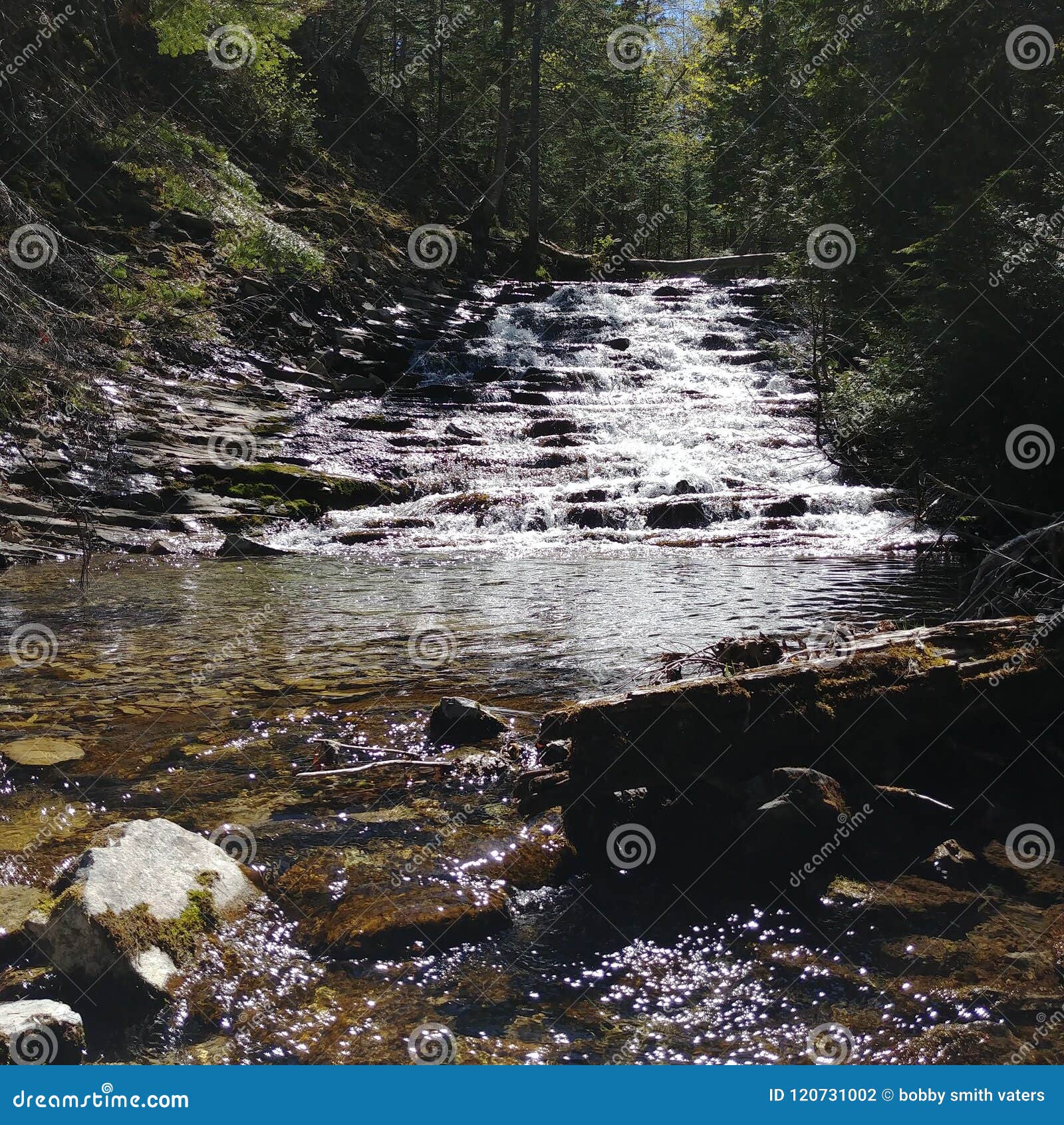 Water stream life beauty stock photo. Image of gaspe - 120731002